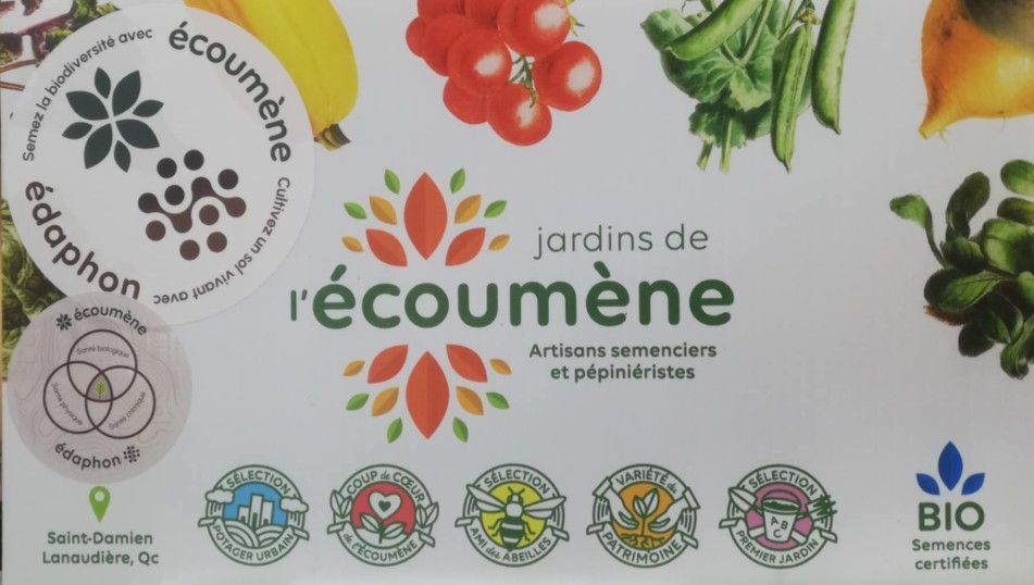 Grand'Mère Nature | Graines laitue pommée bio